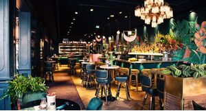 De 12 beste bars in Utrecht voor een onvergetelijke avond